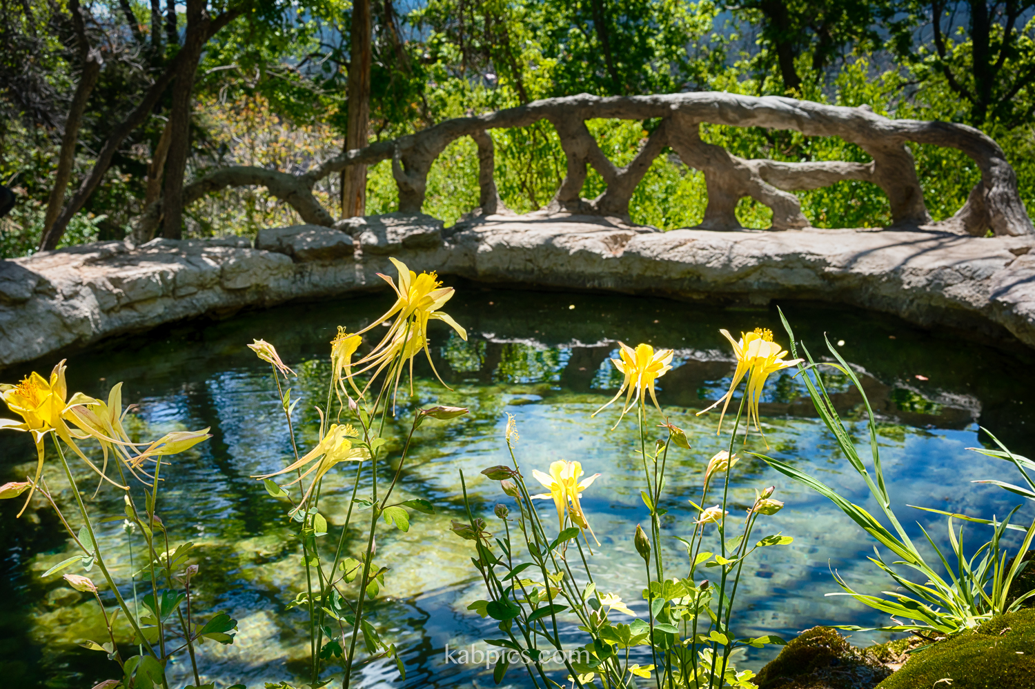 Nature Nearby: Carlito Springs in Albuquerque | Vironevaeh