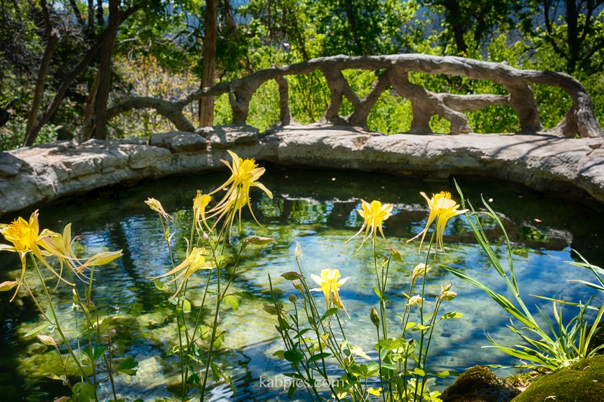 Nature Nearby: Carlito Springs in Albuquerque | Vironevaeh